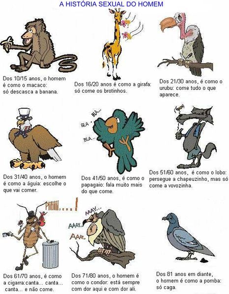 As idades do homem