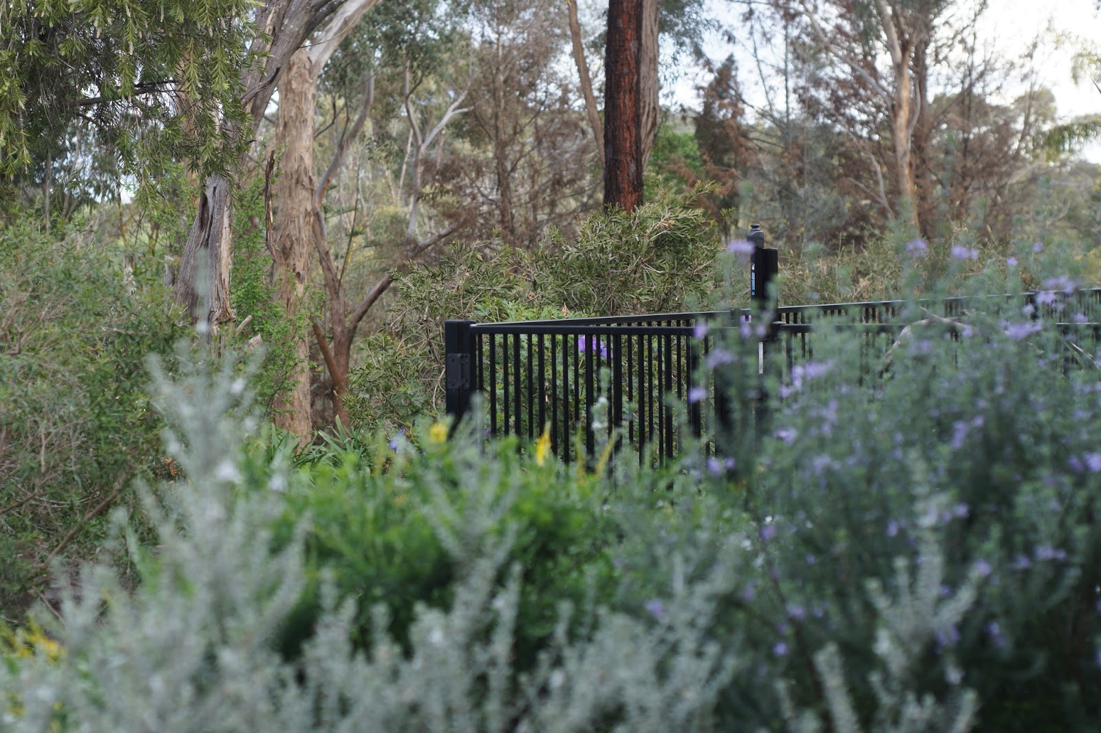 Cross Over Cameras: Convert Film Camera to Digital - It Works!