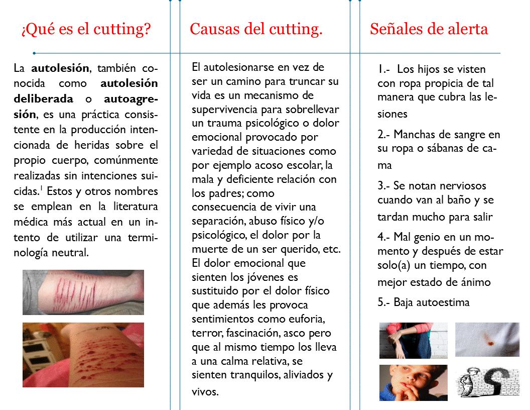 EL CUTTING