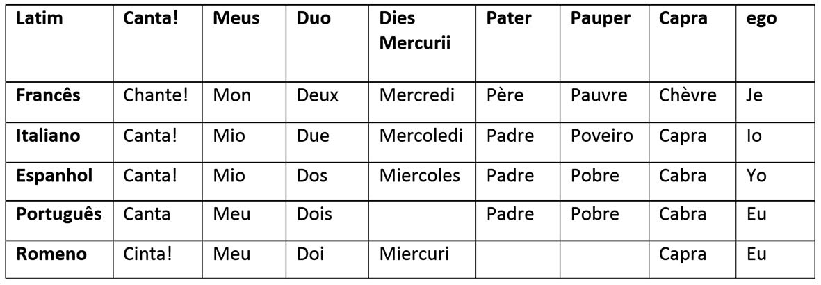Por que se deve estudar Latim? ~ Rede Infopress Stop and Learn