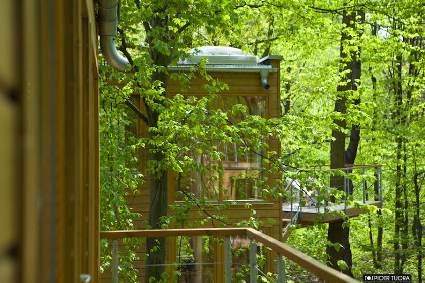 Everything Polish!: One and only Poland's coolest Tree-House Hotel