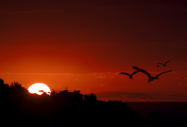 mirando a través de un cristal: 2012