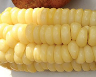 Life in Lima: Sunday Lovin'