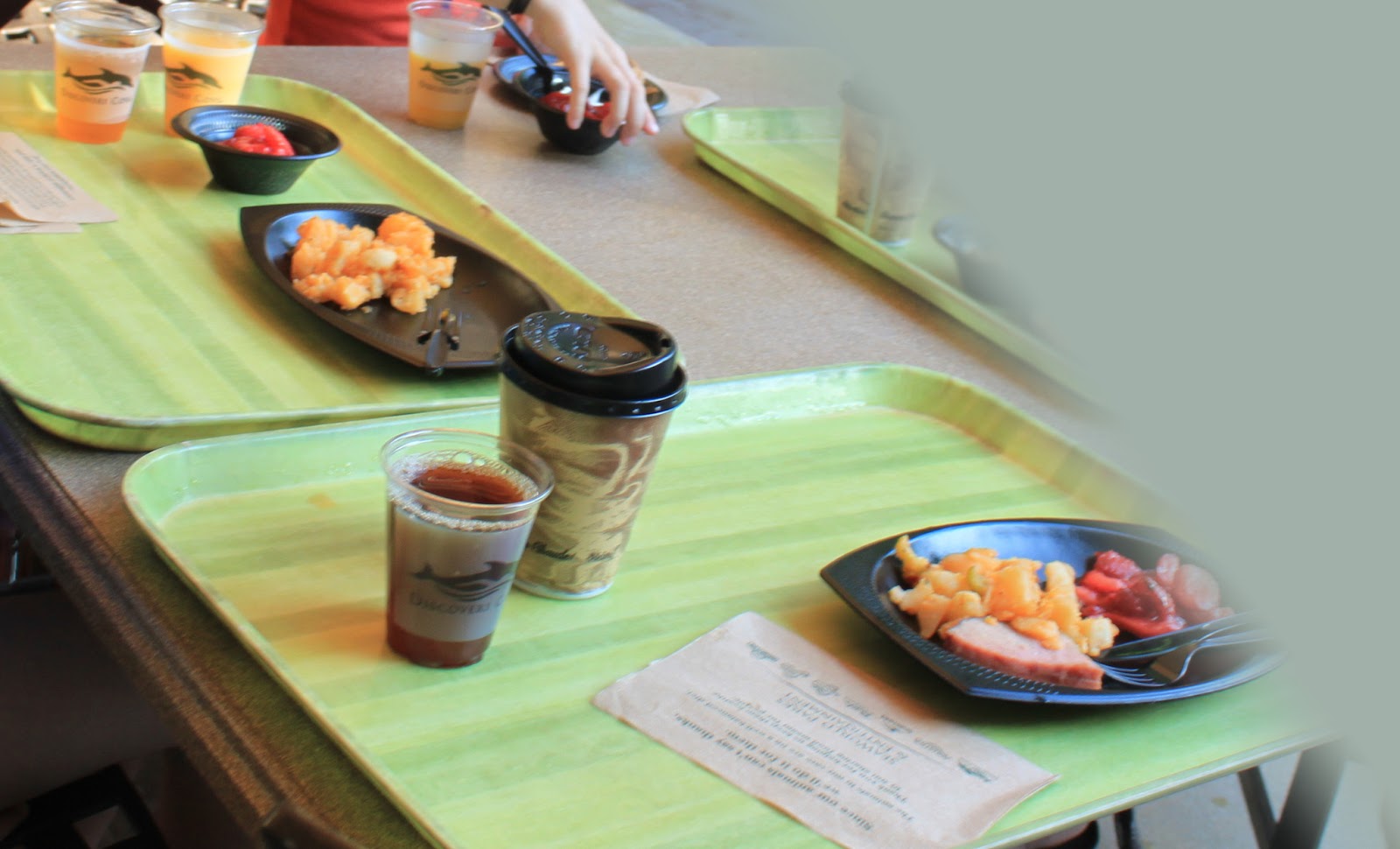 Laura Schmitt NE: Gluten Free Discovery Cove , Seaworld, Aquatica ...