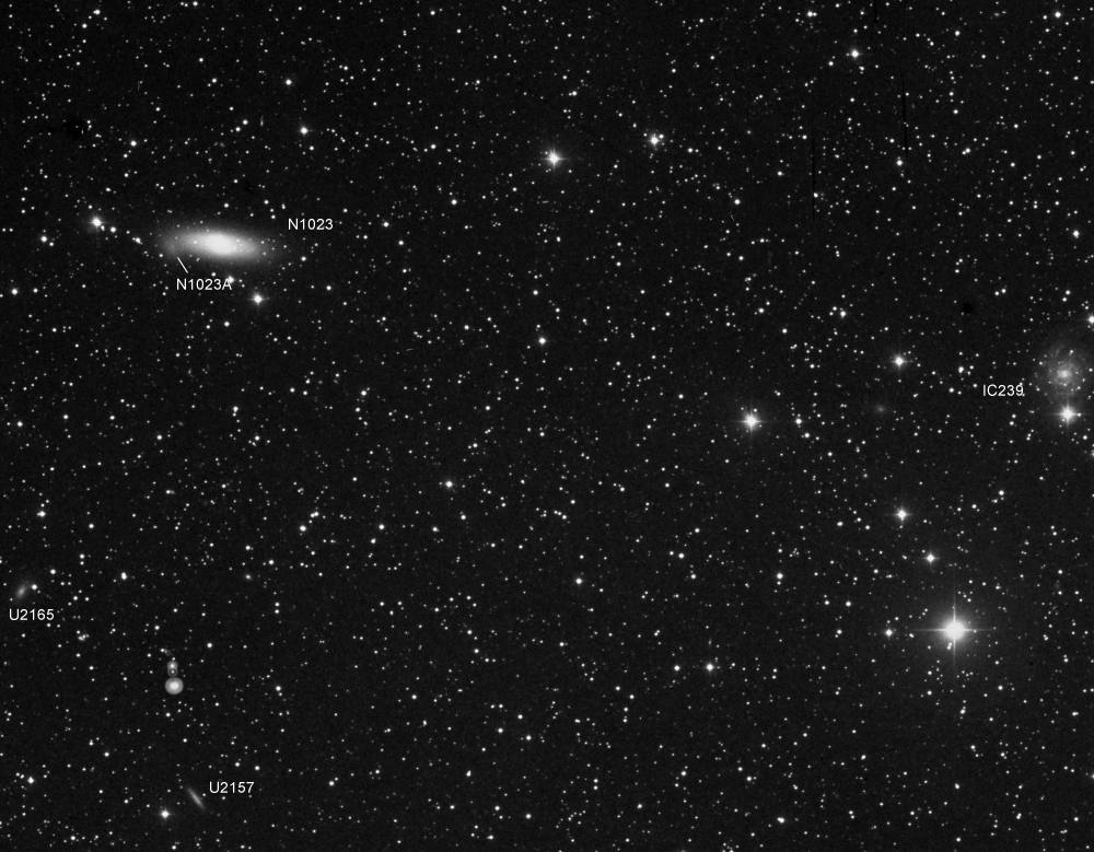 Astronomia: Perseus ( Perseu )