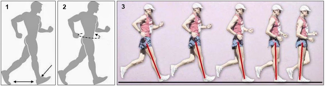 Rapid PT Program: Passing the Walk Test