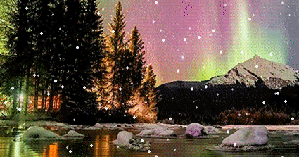 Gif_WINTER_Snowfall_ Animated Image_14 | Joy Design Studio