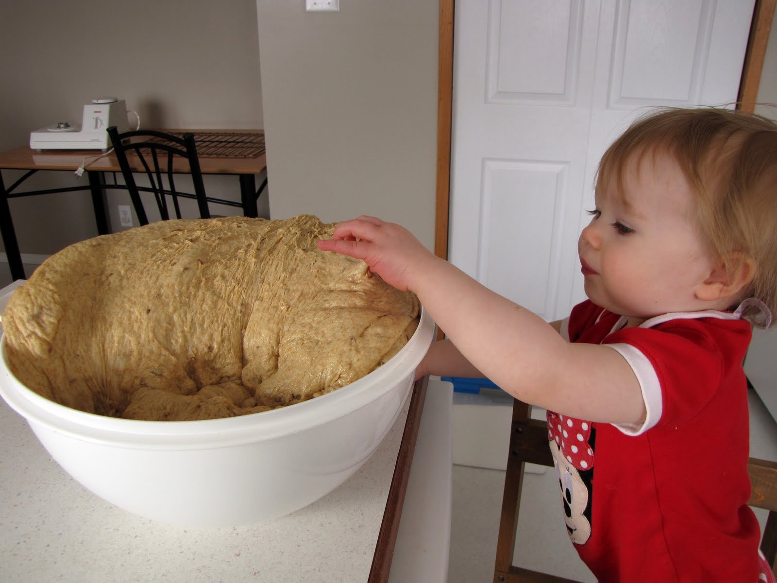Homemaking Pilgrim: Tutorial: Making Homemade Bread