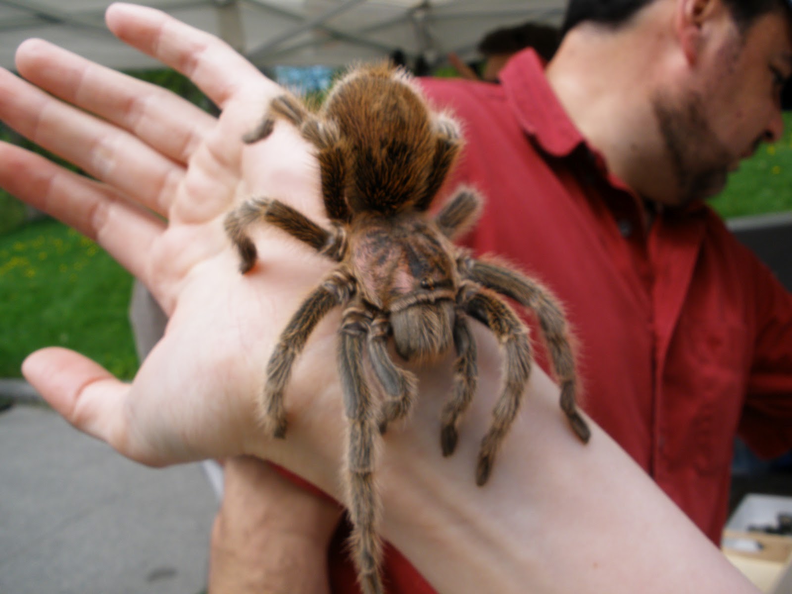 A la découverte de notre nouvelle vie au Canada !: Photos Mygale ...