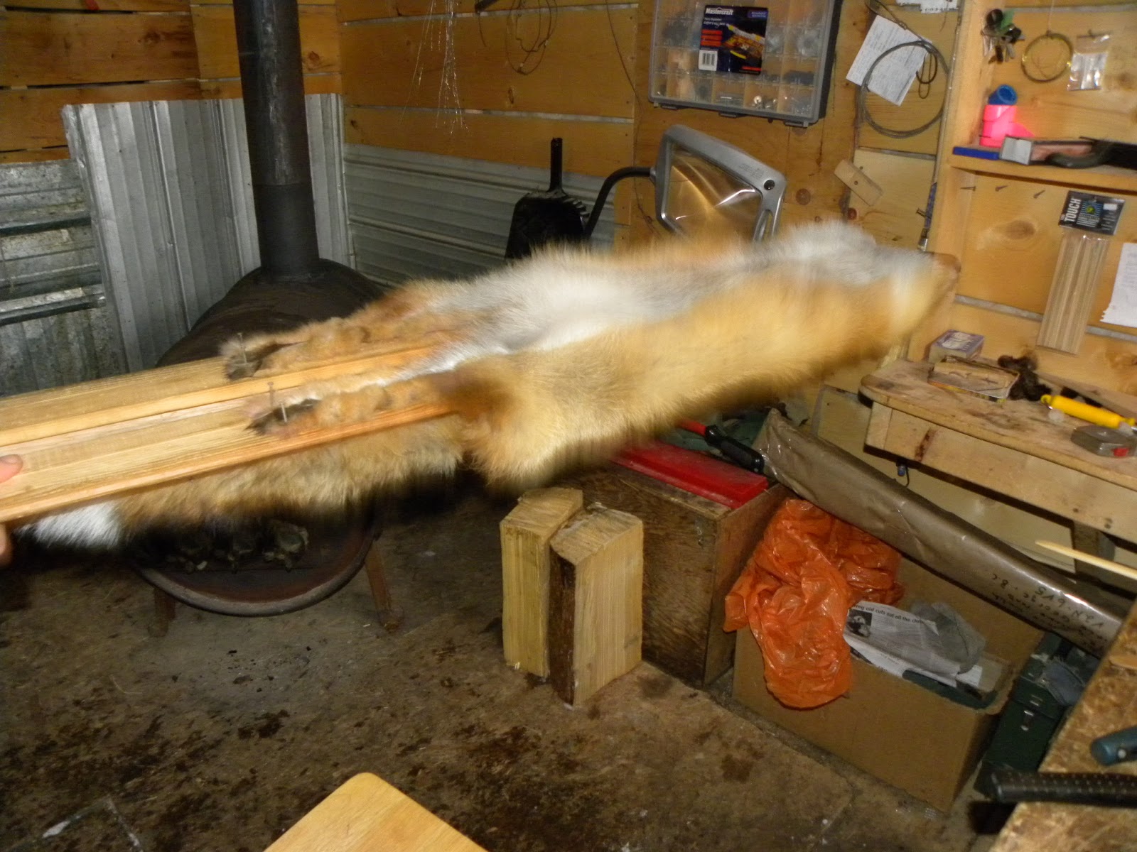 The Happy Trappers 2 Sixth Year: Fox Trapping, and handling Fur