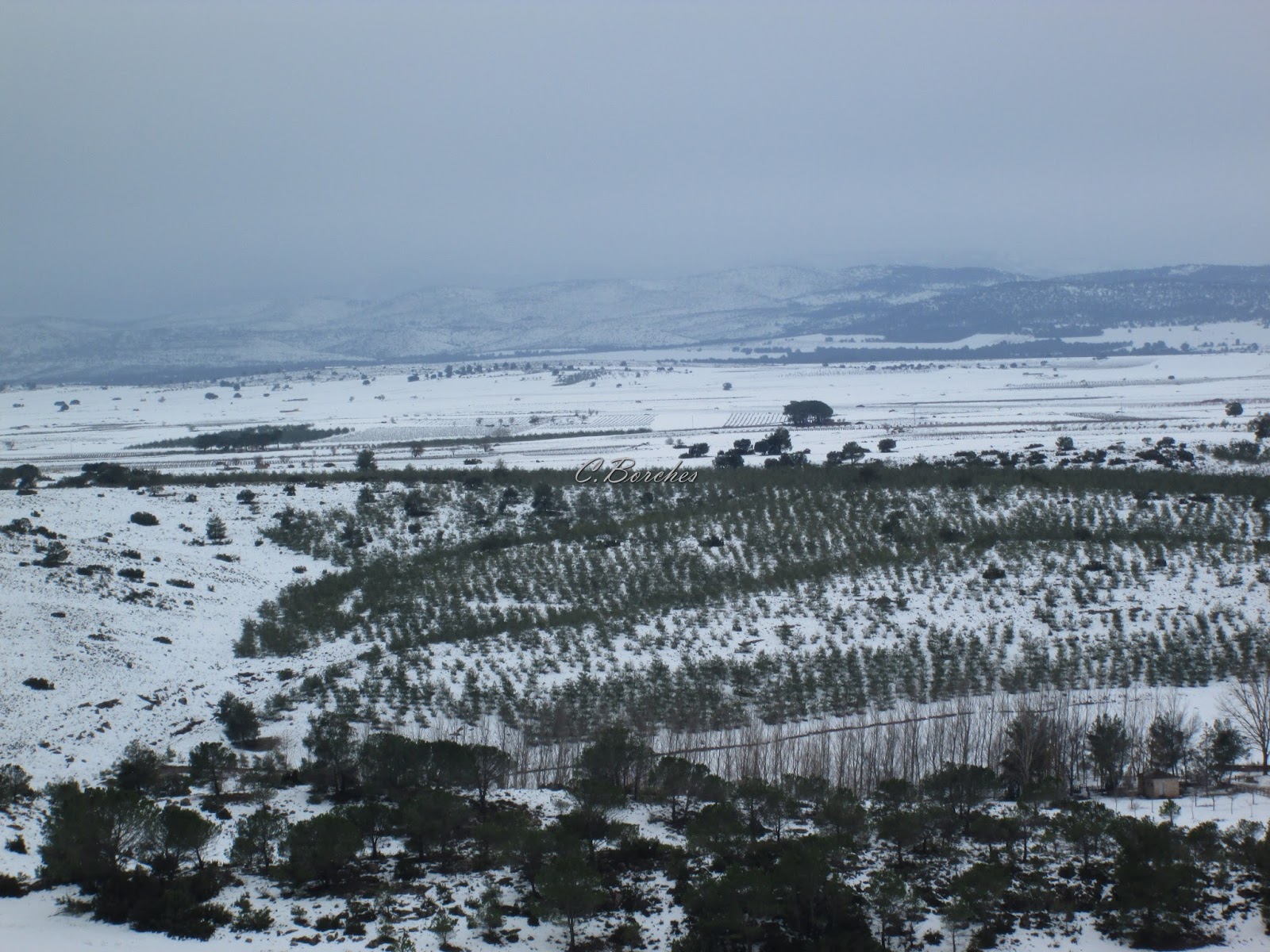 C.Borches Photography: Nevada Enero 2017 en Alborea (Albacete)