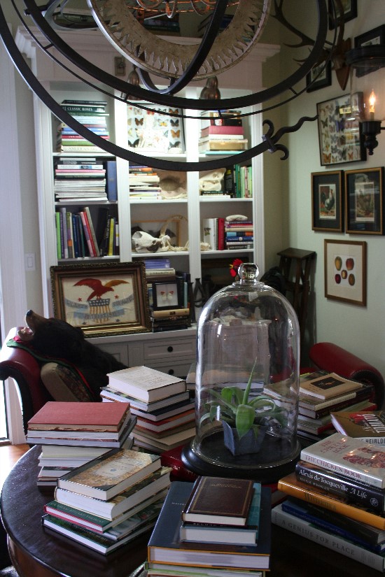 The Rainforest Garden: A Tour of P. Allen Smith's Home