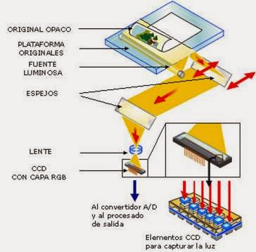 Escáner: Sus partes y funcionamiento : Escáner: Sus partes y funcionamiento