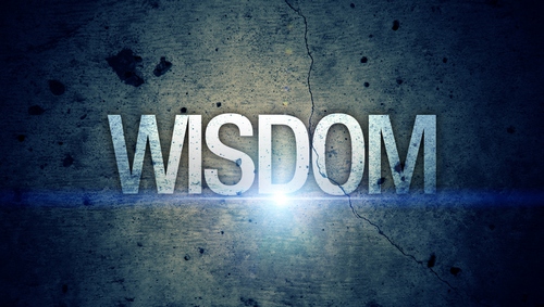 the goodness of wisdom