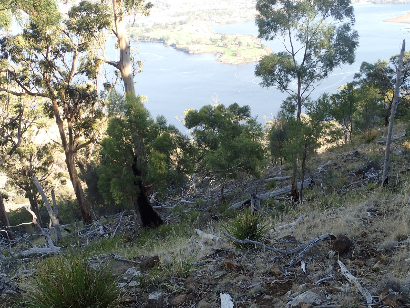 Mount Direction West | Hiking South East Tasmania