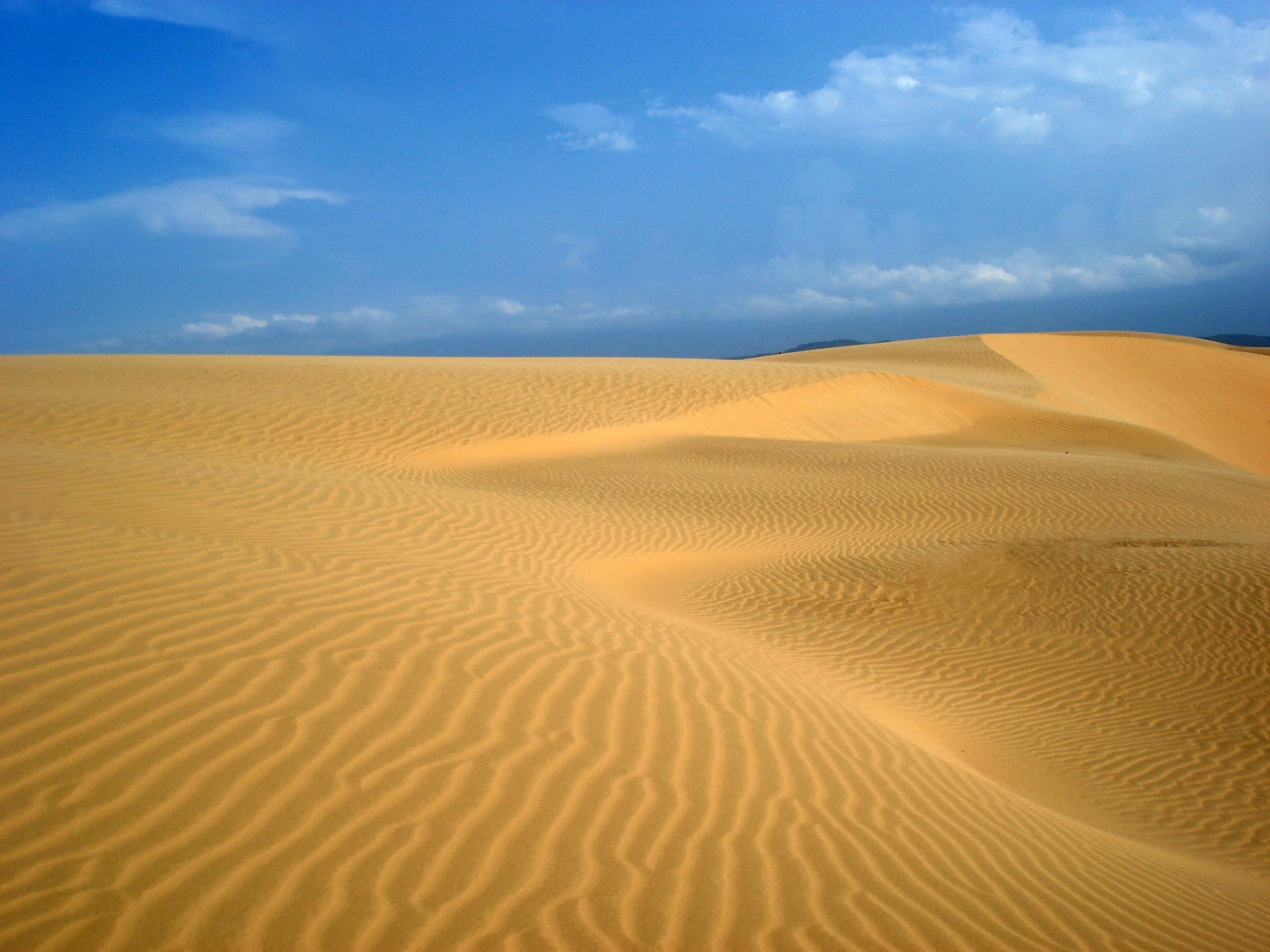 Estado Falcón - Venezblogger