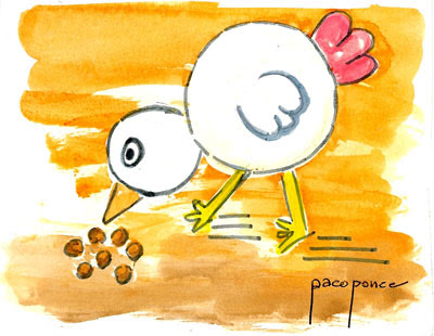 El pollito - Imagui