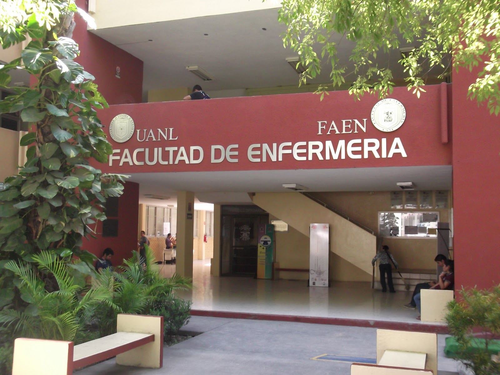 Fundamentos de Teoria Curricular: Fundamentación Filosófica FAEN