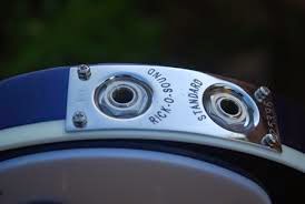 RickenbackerItalia: Io e la mia Rickenbacker 360/12: Il Rick-o-Sound