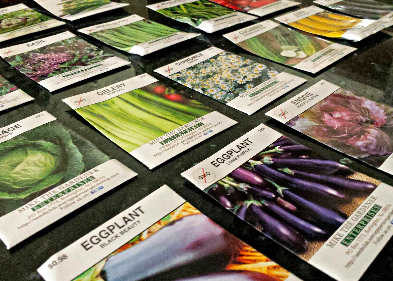 DIY Photo Album Seed Organizer - Fresh Eggs Daily® with Lisa Steele