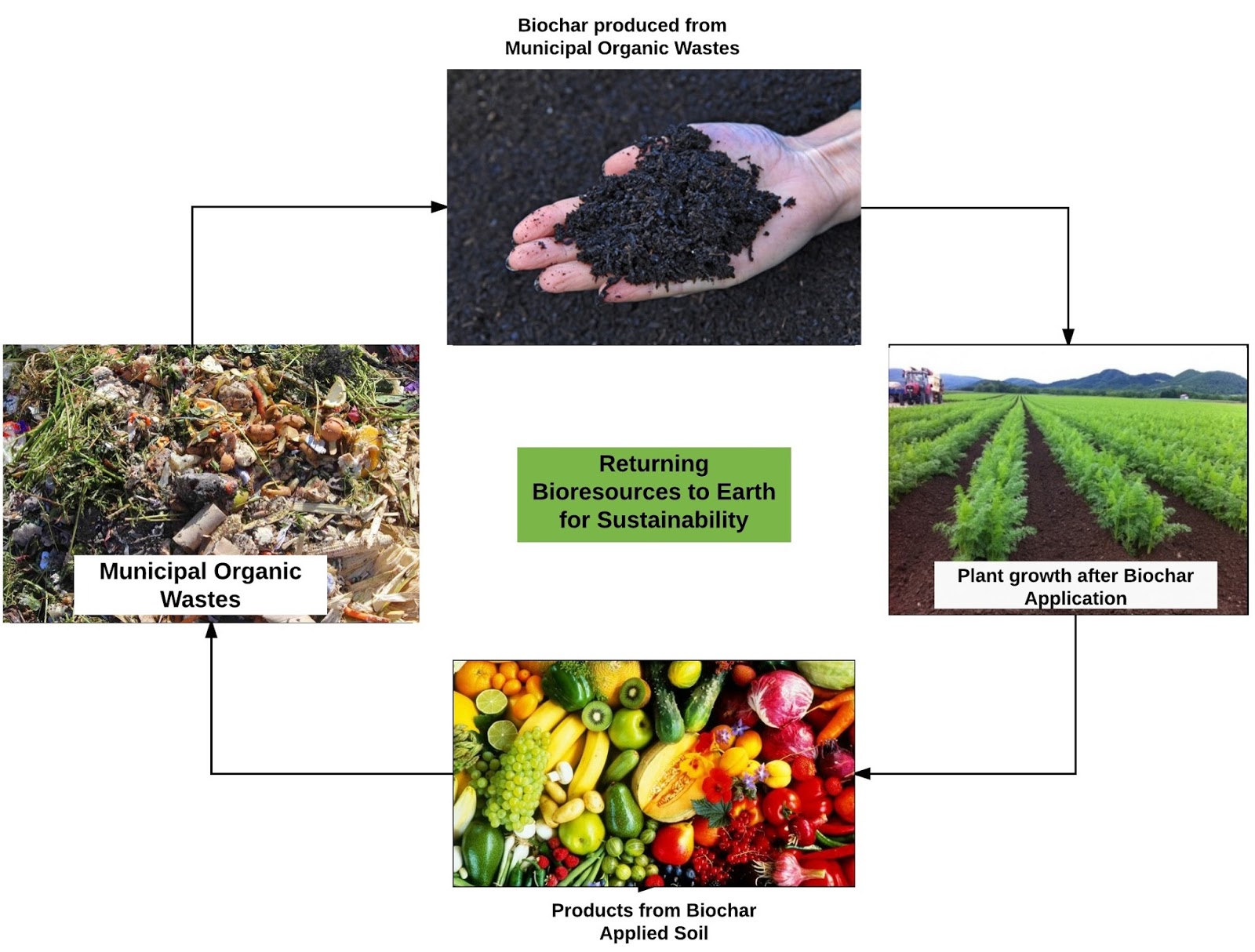 SAVE ENVIRONMENT JUST FOR YOU: Returning Life to Soil: Converting ...
