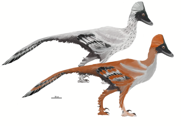 DinoGoss: Field Guide Rejects: Arctic Troodont