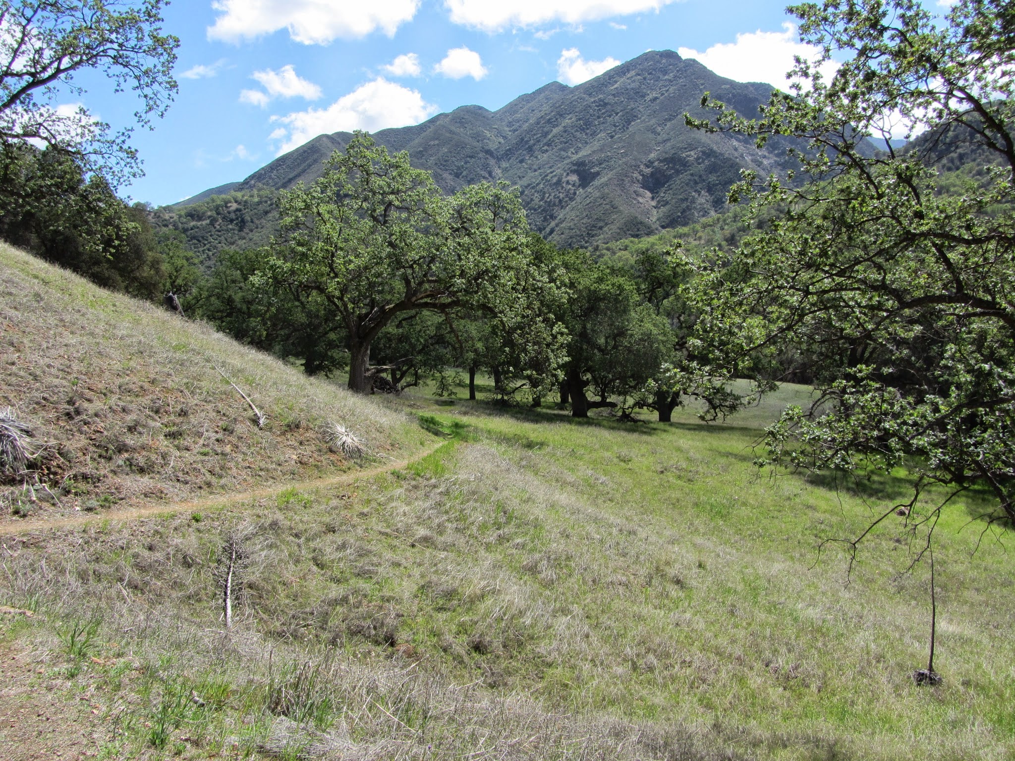 We Be Trekkin: Arroyo Seco Gorge/Santa Lucia Trail- Ventana Wilderness, CA