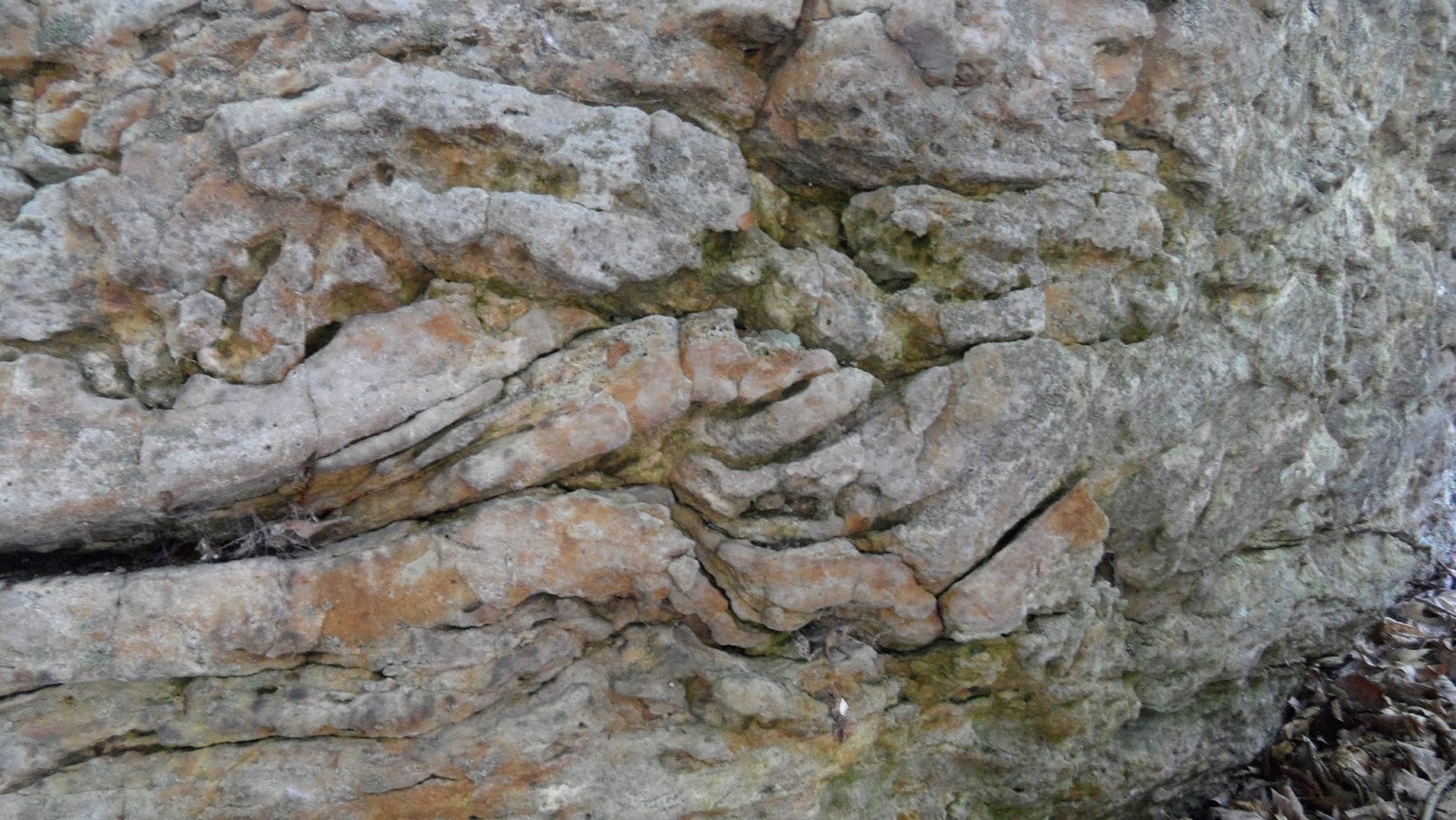 Fossils and Geology of Lanark County, Ontario: Soft-Sediment ...