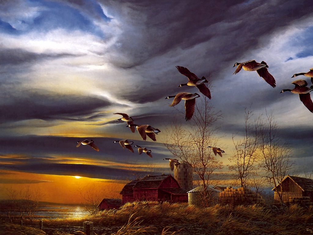 Terry Redlin Art ~ Photos Art
