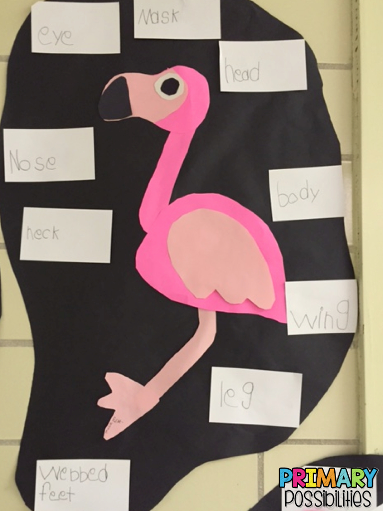 Primary Possibilities: Flipping For Flamingos