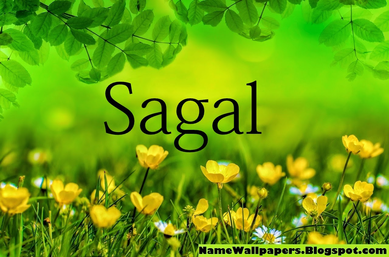 Sagal Name Wallpapers Sagal ~ Name Wallpaper Urdu Name Meaning Name ...