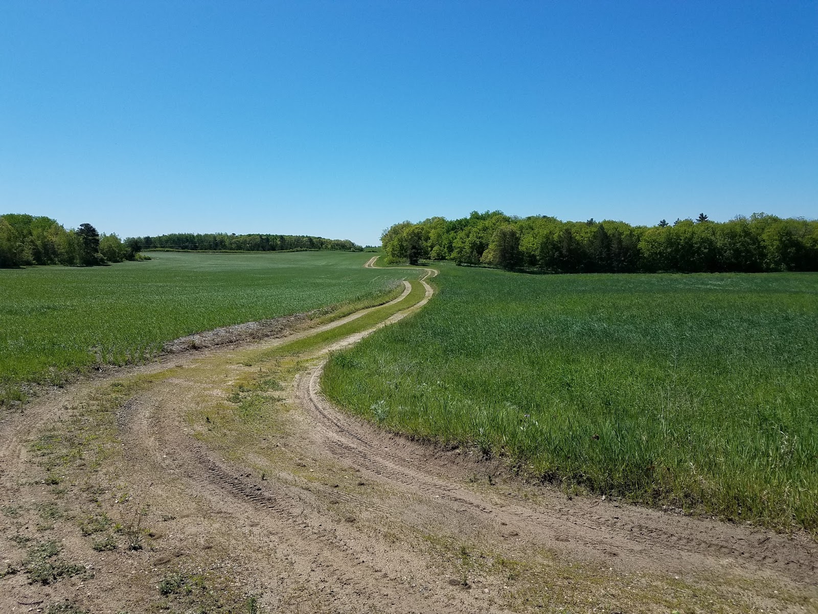 Along the Way: Heartland State Trail - Park Rapids to Walker (MN)