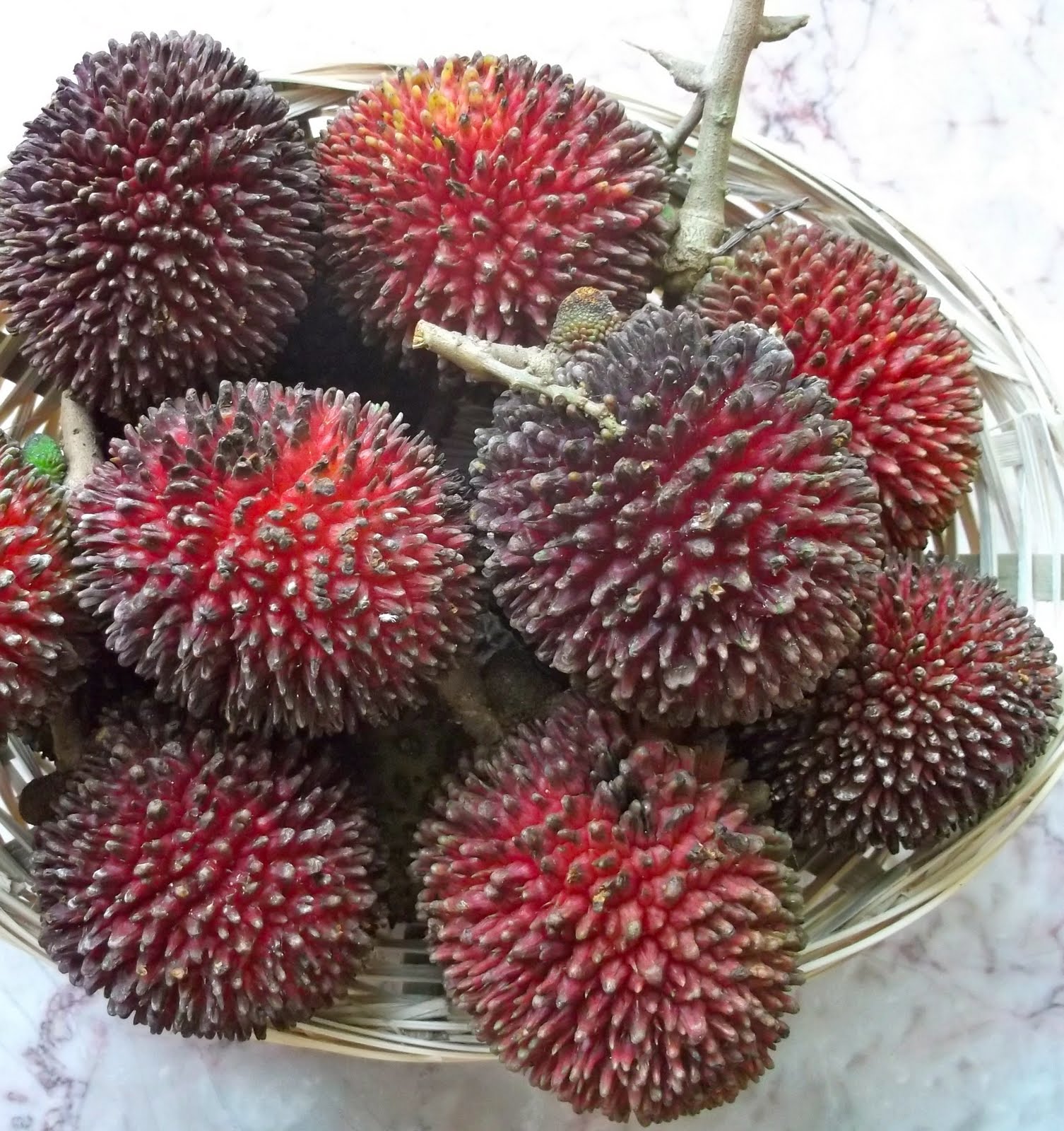 Pulasan - Alchetron, The Free Social Encyclopedia