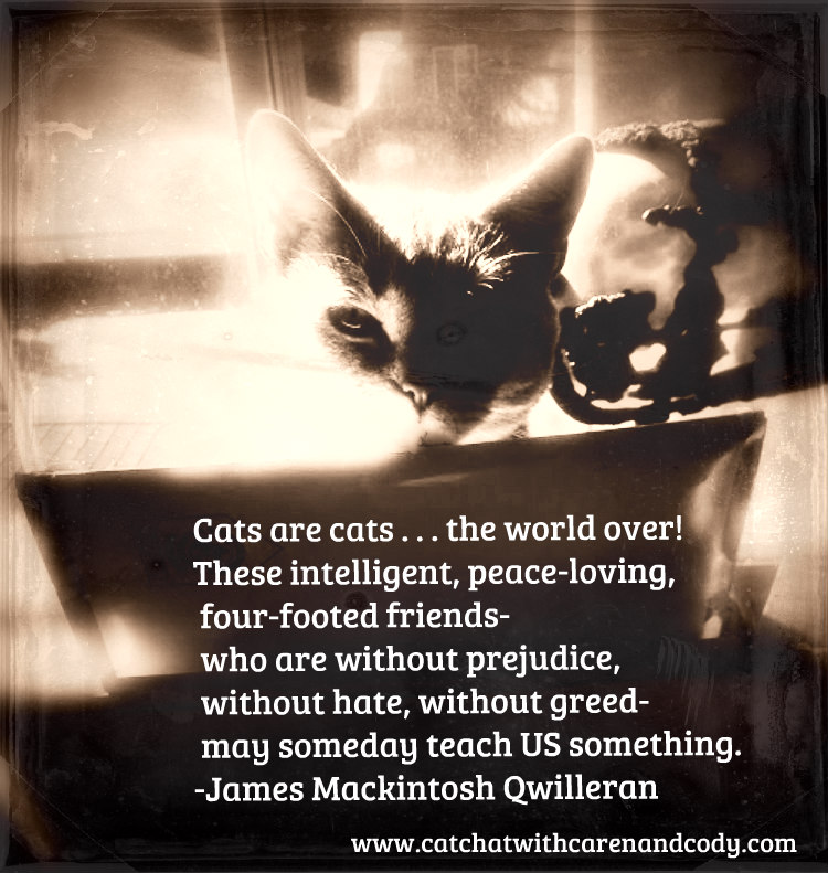 Cat and DOG Chat With Caren: Answer Your Cat's Questions Day