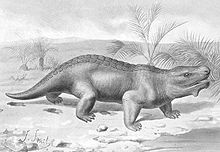 secretos de la prehistoria salvaje: Pareiasaurus