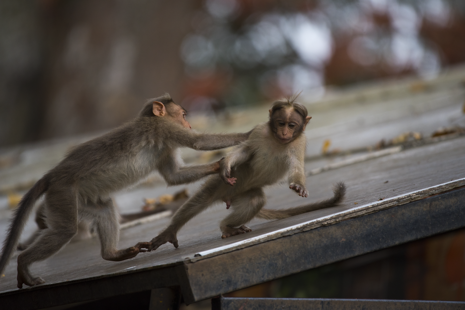 A Week In God's Own Country