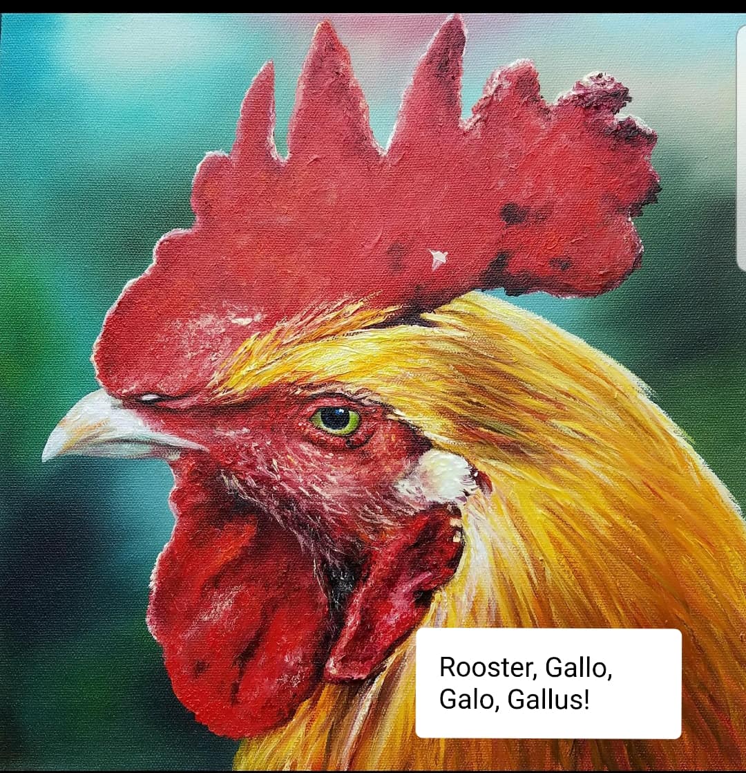 SAVE THE DATE! Rooster, Gallo, Galo, Gallus! ~ Ana's Place for the ...