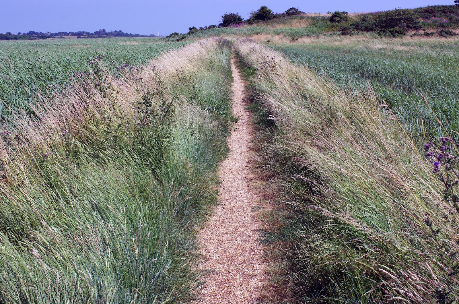 Essays and Diversions: Great Britten