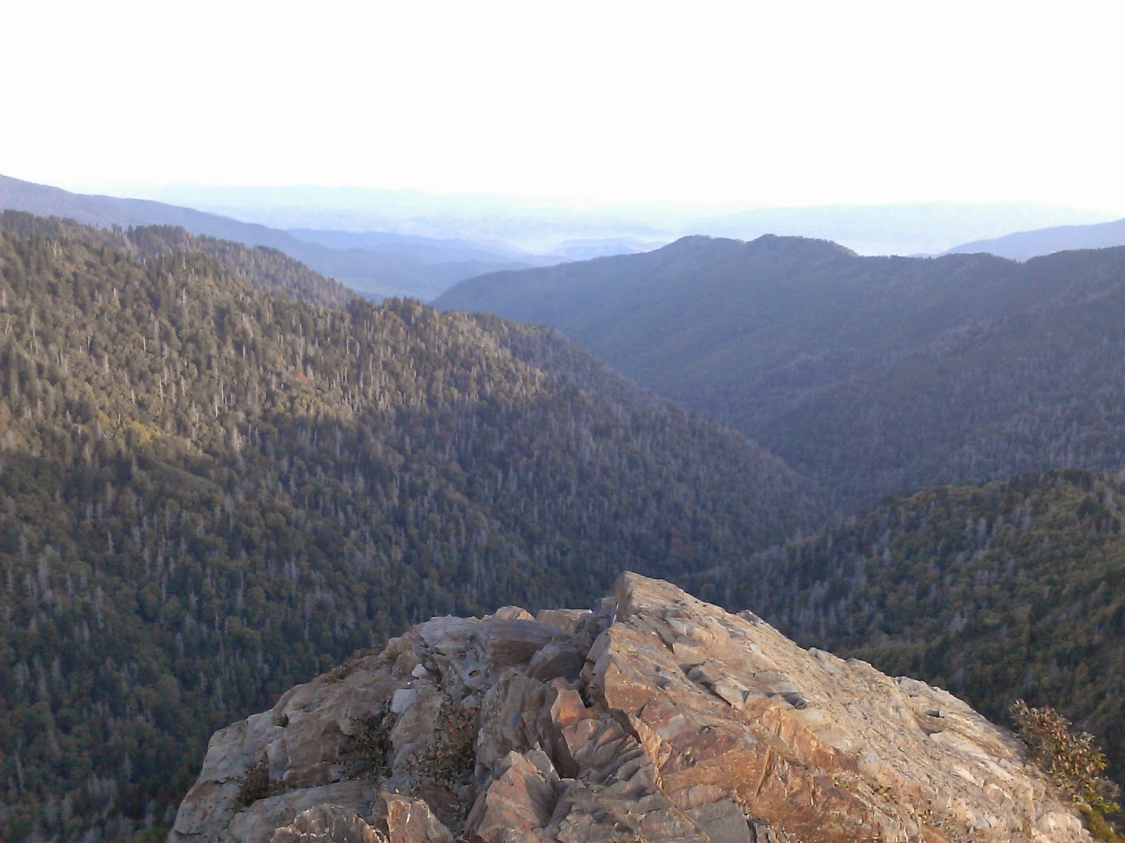 Hikes: AT (NFG to Snake Den) - Snake Den