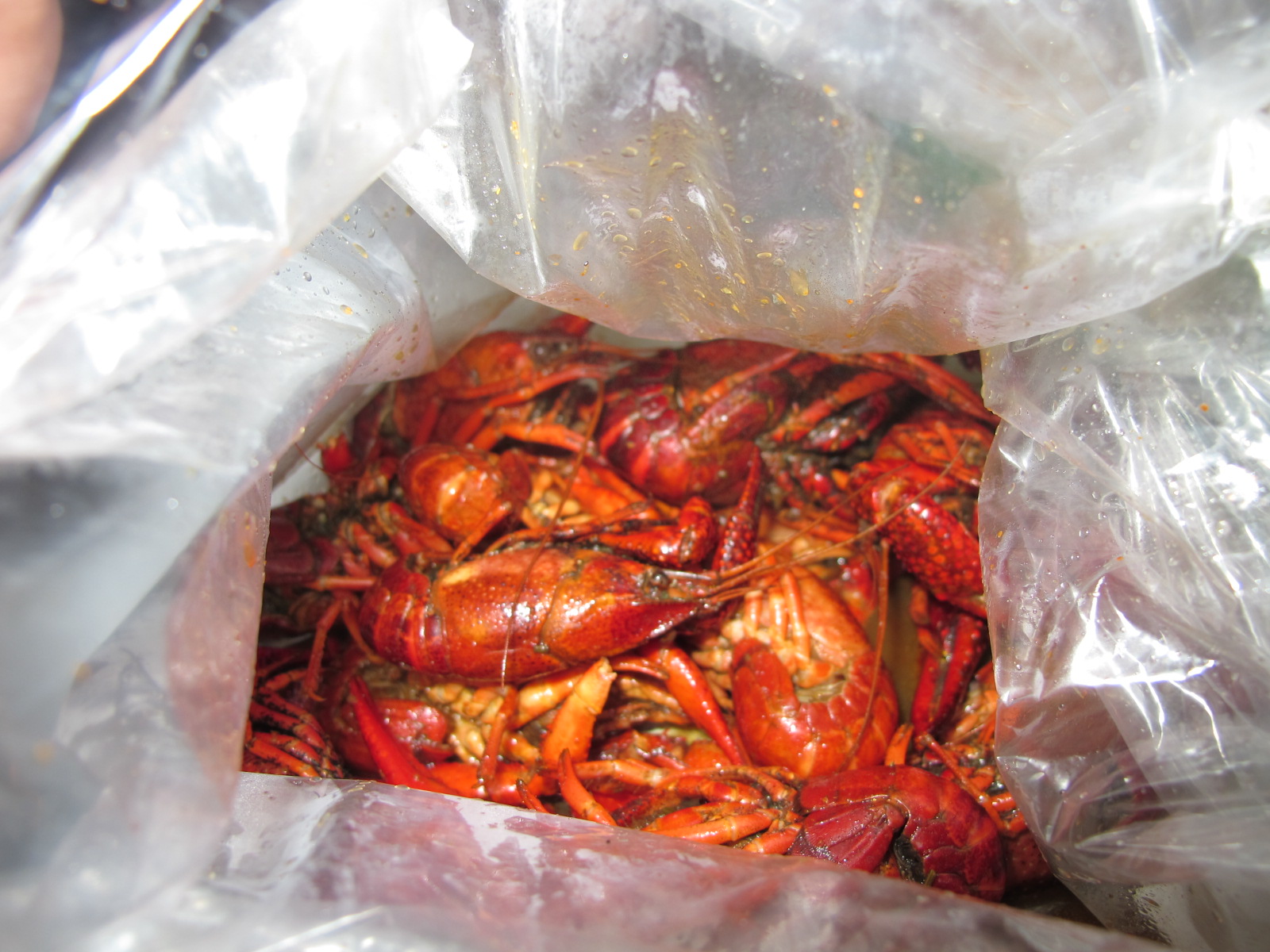 a cup of JOS': HOT n JUICY CRAWFISH