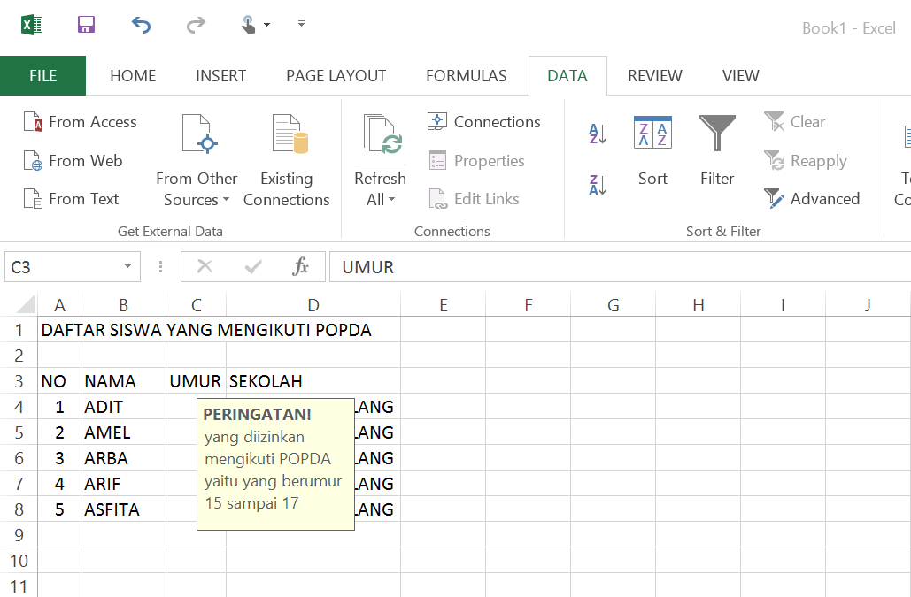 Camelia Validasi Data Ms Excel