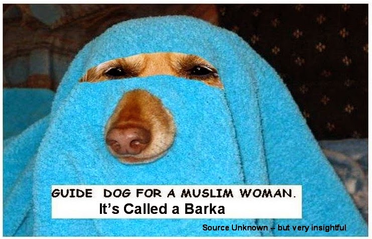 The RoanokeSlant: New Breed Of Muslim Guide Dogs