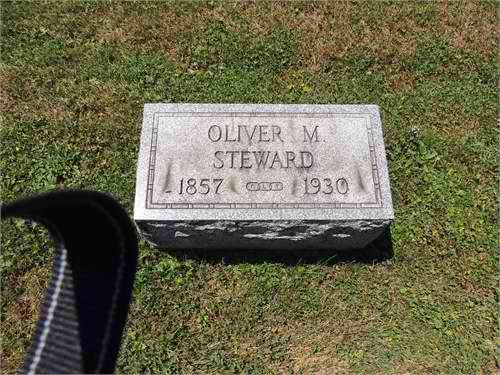 Steward Family Tree: David's Children