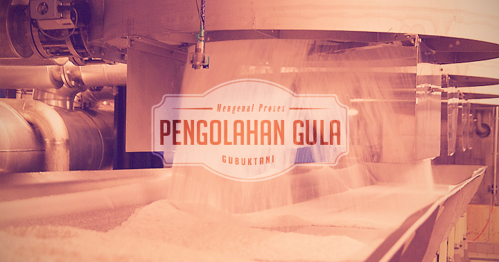 Gubuk Tani : Mengenal Proses Pengolahan Gula