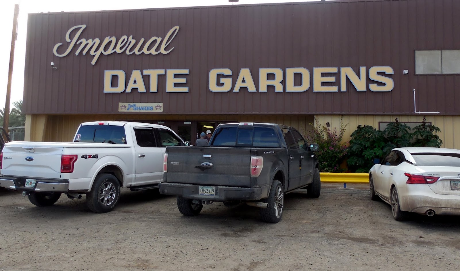 Have Retirement. Will Travel.: Dateshakes in Yuma