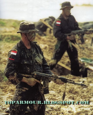 TOP ARMOUR: TONTAIPUR (Pleton Intai Tempur) KOSTRAD