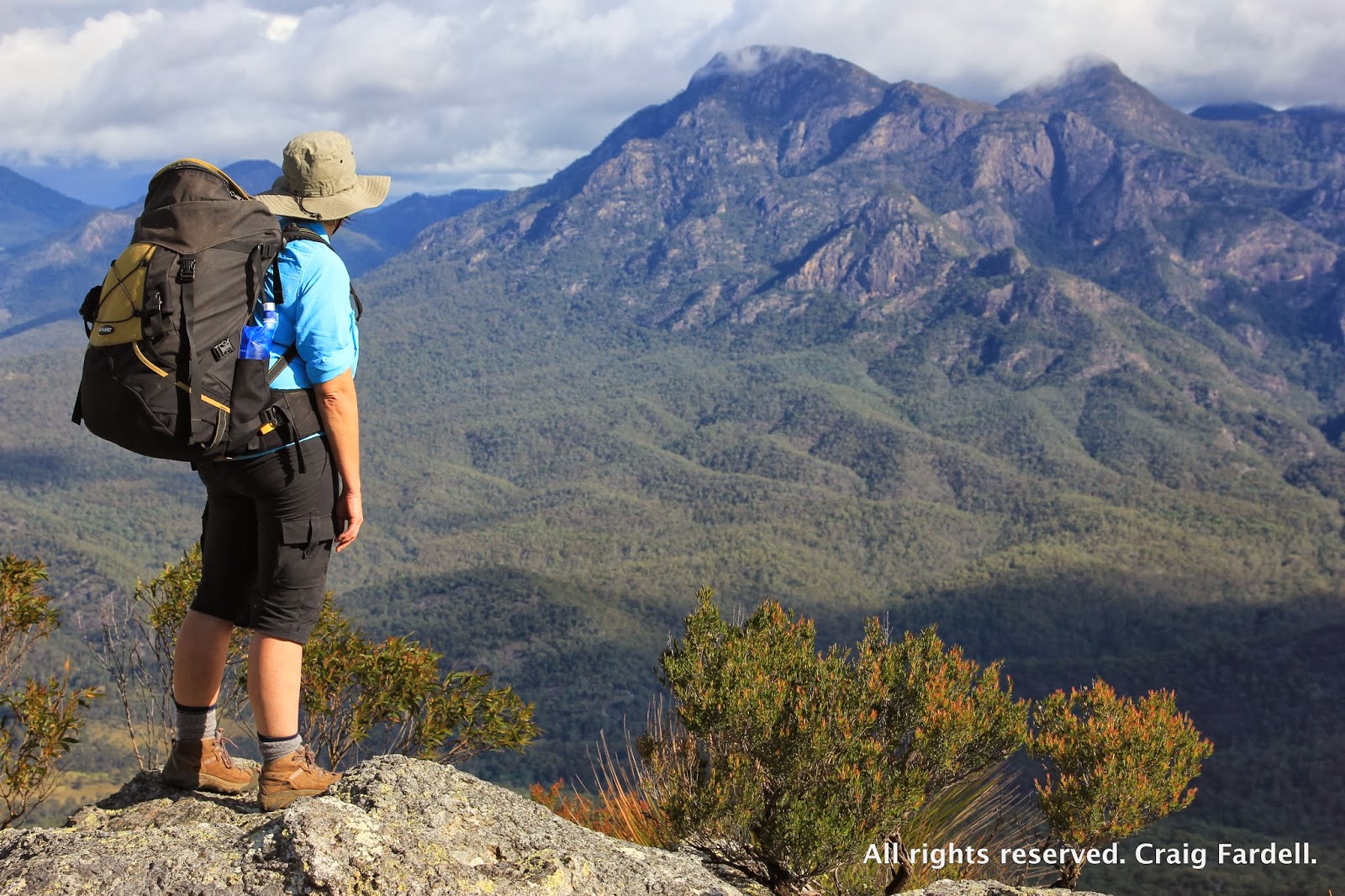 awildland: Mt Maroon - Mount Barney National Park