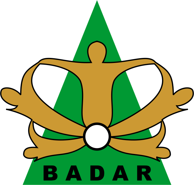 LSM BADAR
