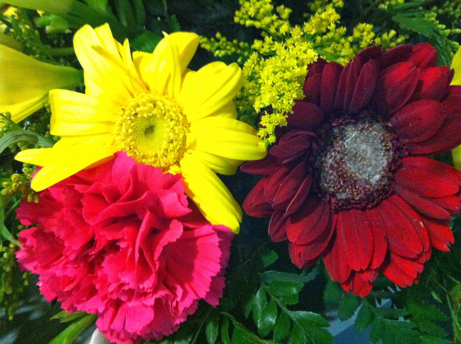 Floristería Jaspe: Galería de fotos