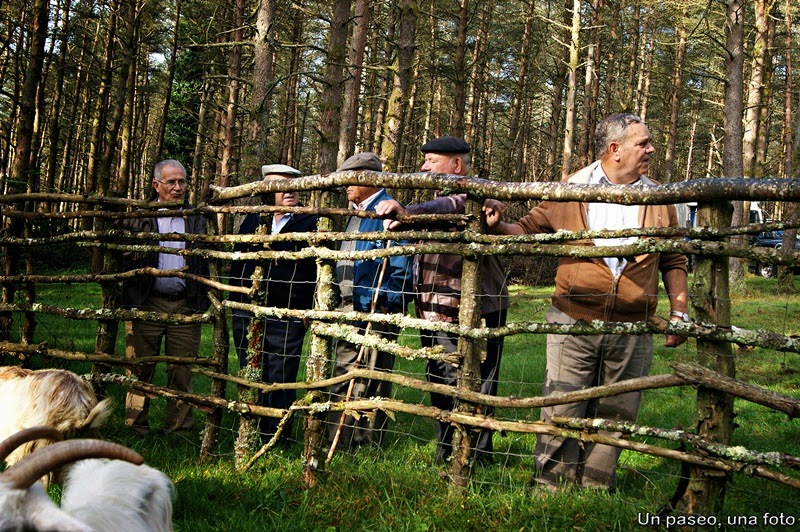 Un paseo,una foto: XXVII Feira do poldro e gando de monte. Muras (Lugo)